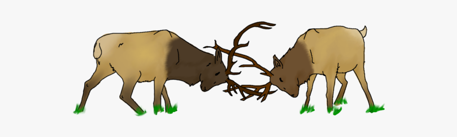 Two Elk Fighting Cartoon , Free Transparent Clipart - ClipartKey