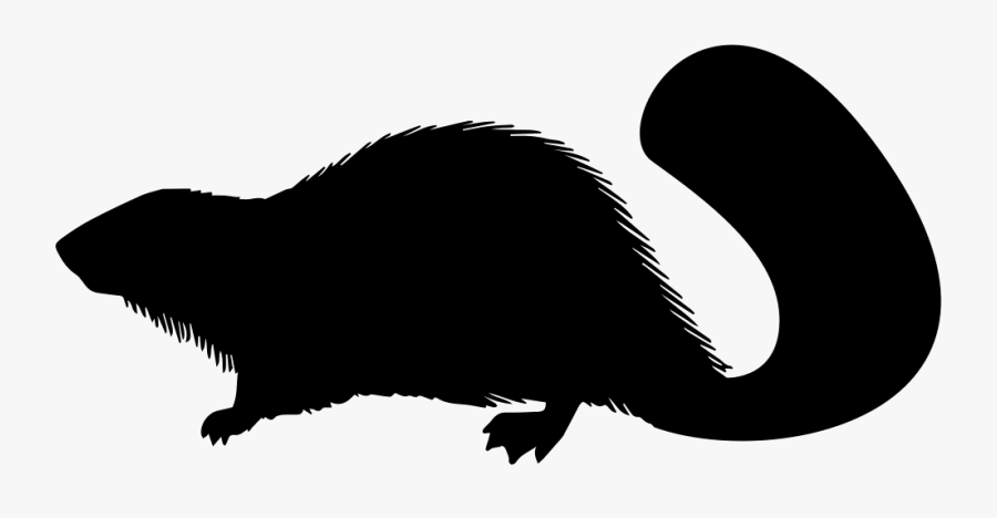 Beaver Svg , Free Transparent Clipart - ClipartKey