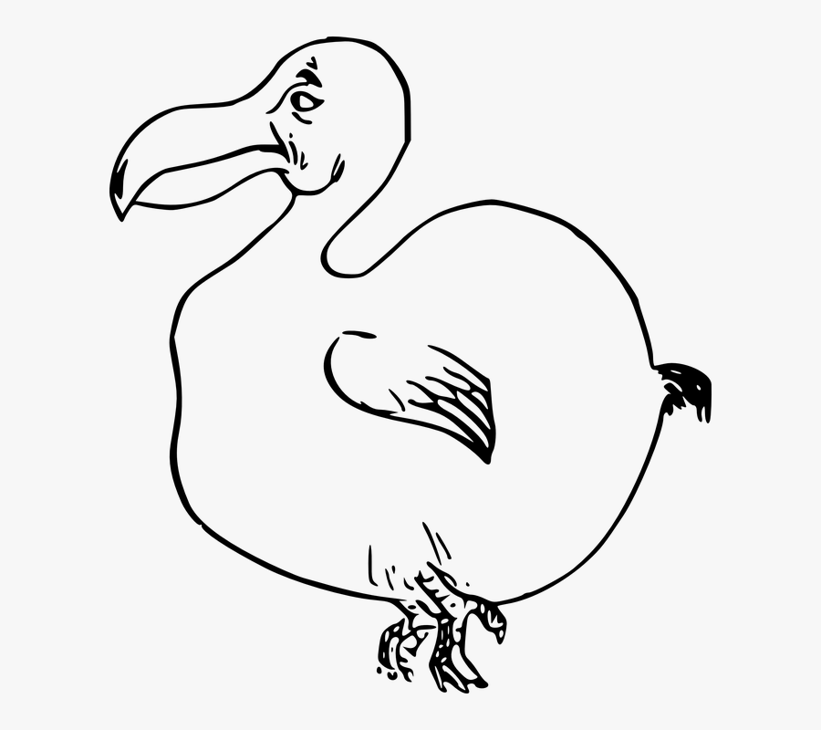 Dodo Outline , Free Transparent Clipart - ClipartKey