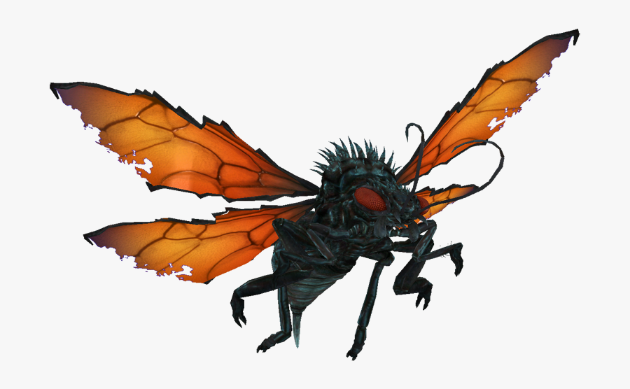 Clip Art Japan Killer Bees - Fallout New Vegas Cazador , Free ...