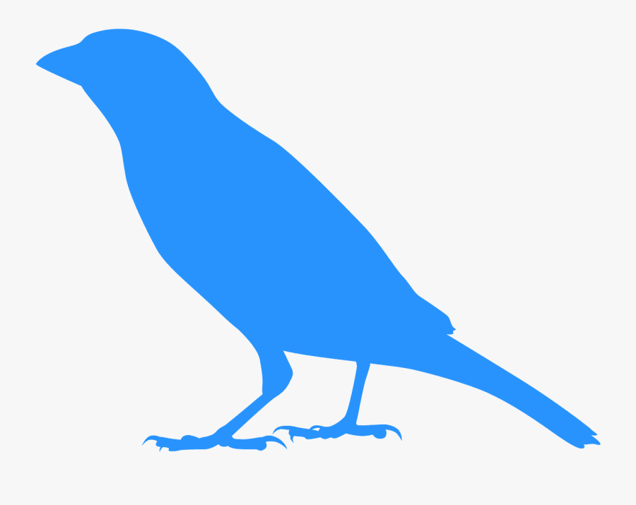 Scrub Jay , Free Transparent Clipart - ClipartKey