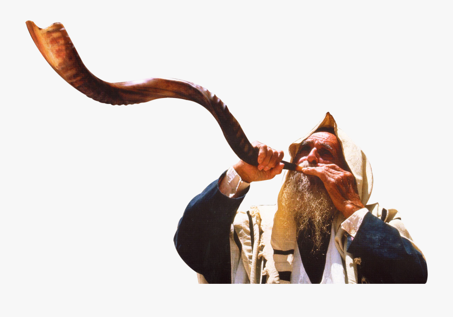 Halleluyah Shofar Authentic, Natural, Long & Curved - Shofar Png , Free ...