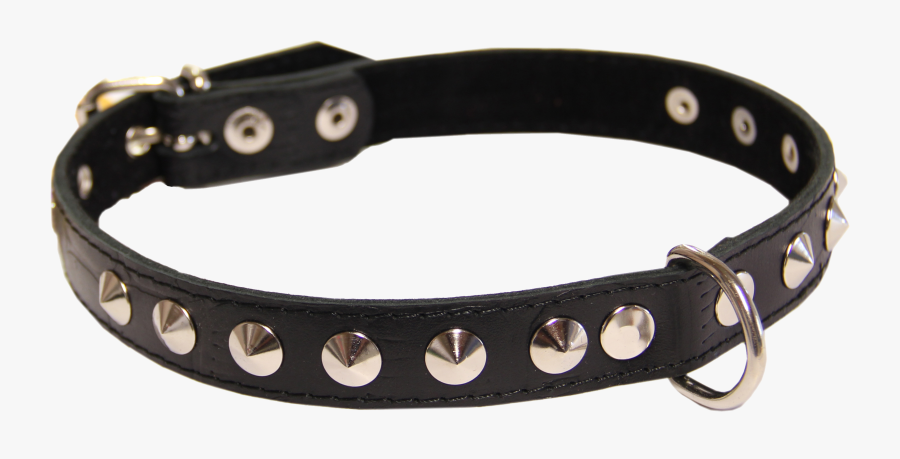 Collar Clipart Transparent Background Dog - Collar Transparent ...
