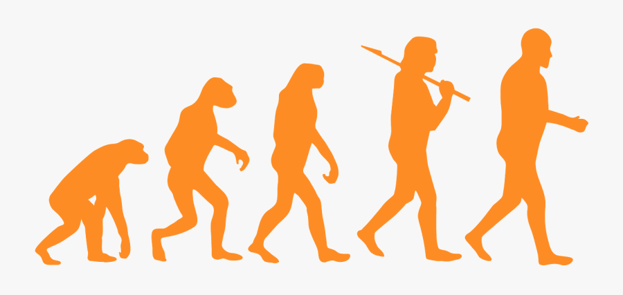 Evolution Of Man , Free Transparent Clipart - ClipartKey