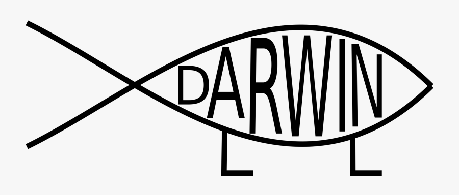Line Art,angle,area - Darwin Clipart , Free Transparent Clipart ...