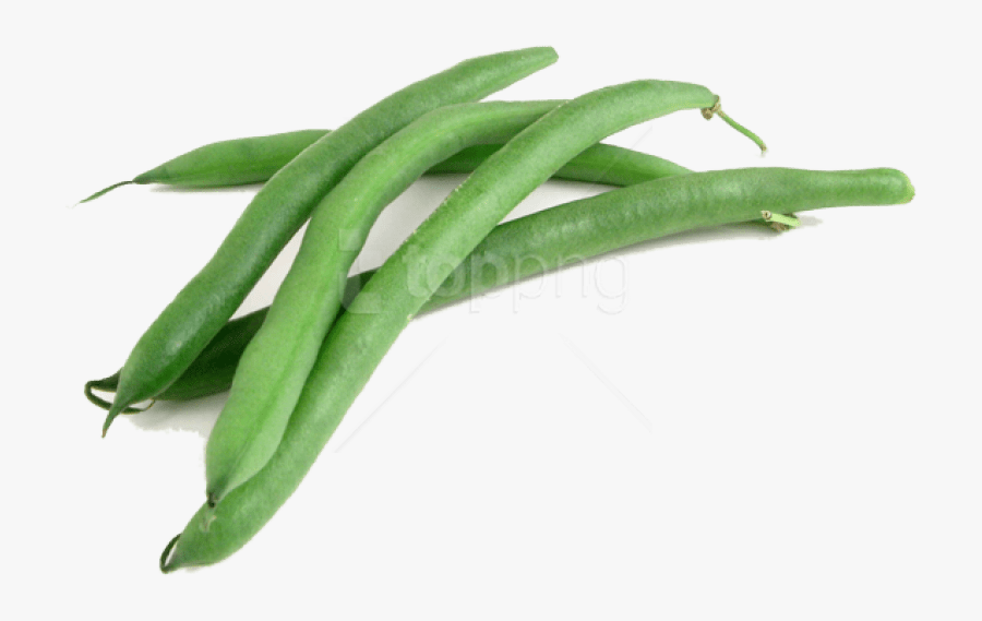 Green Beans Png - Green Beans Clip Art , Free Transparent Clipart ...