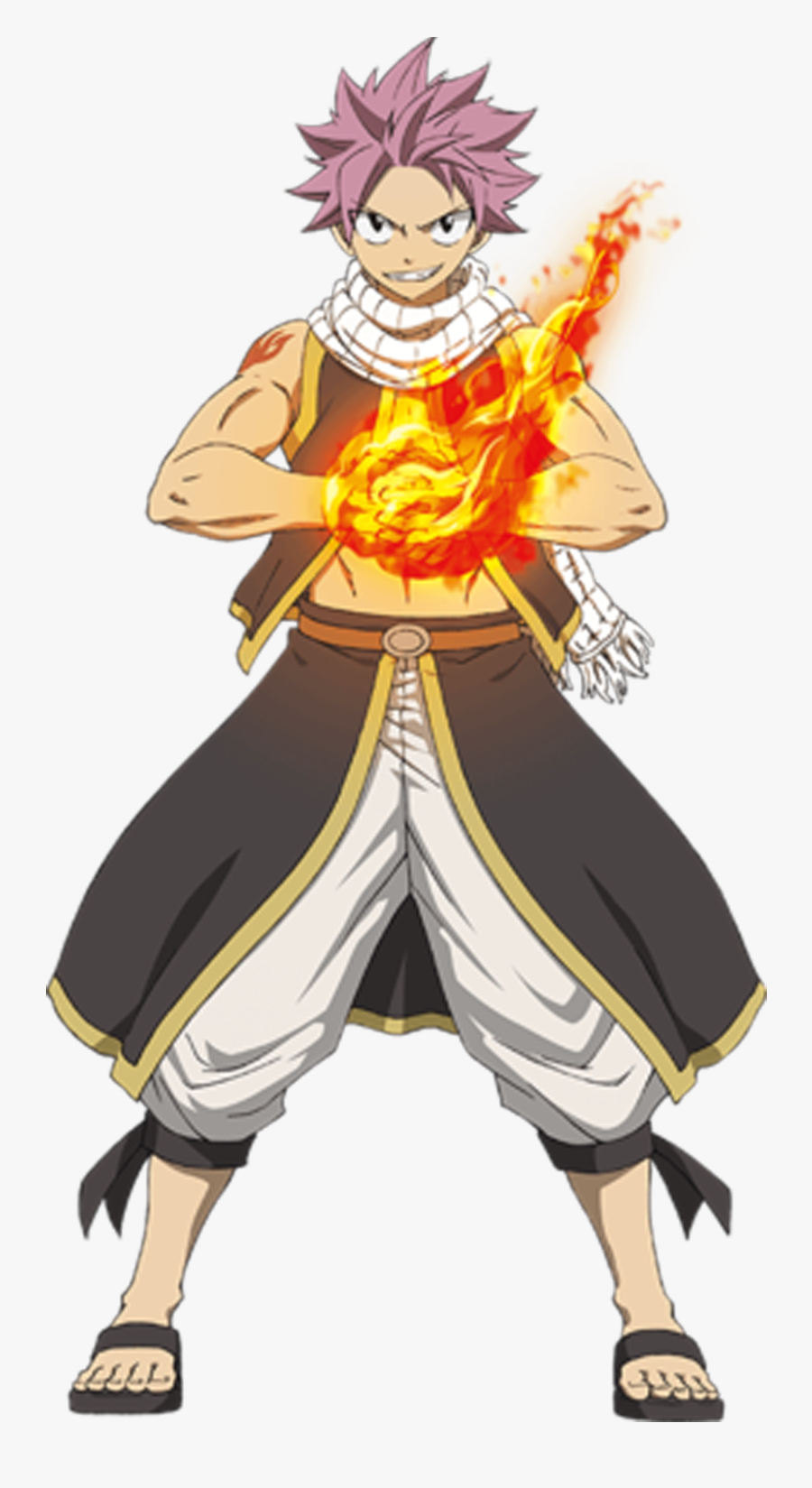 Transparent Salamander Clipart - Fairy Tail Natsu Png , Free ...