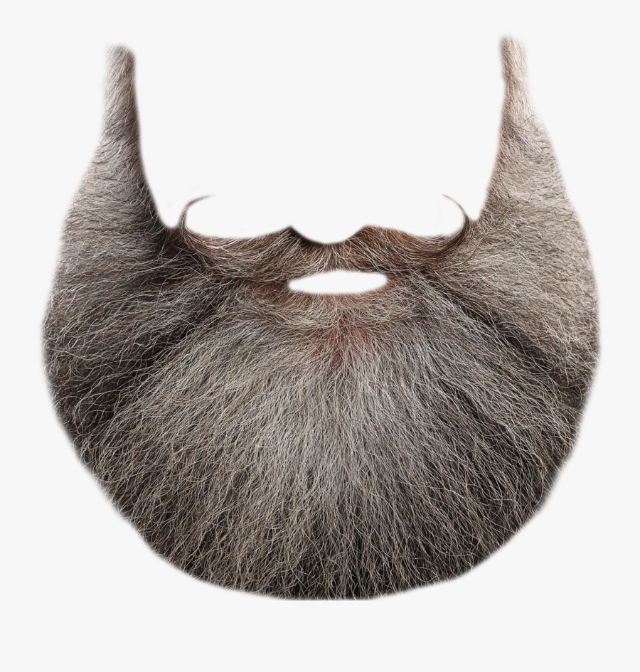 Beard Transparent Png Pictures , Free Transparent Clipart - ClipartKey