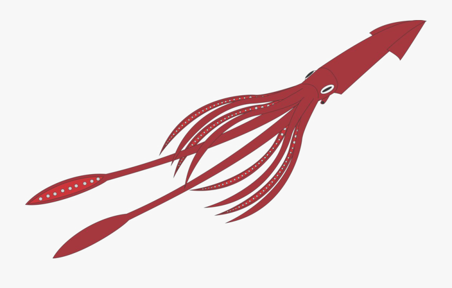 Giant Squid Transparent Background - Giant Squid No Background , Free ...