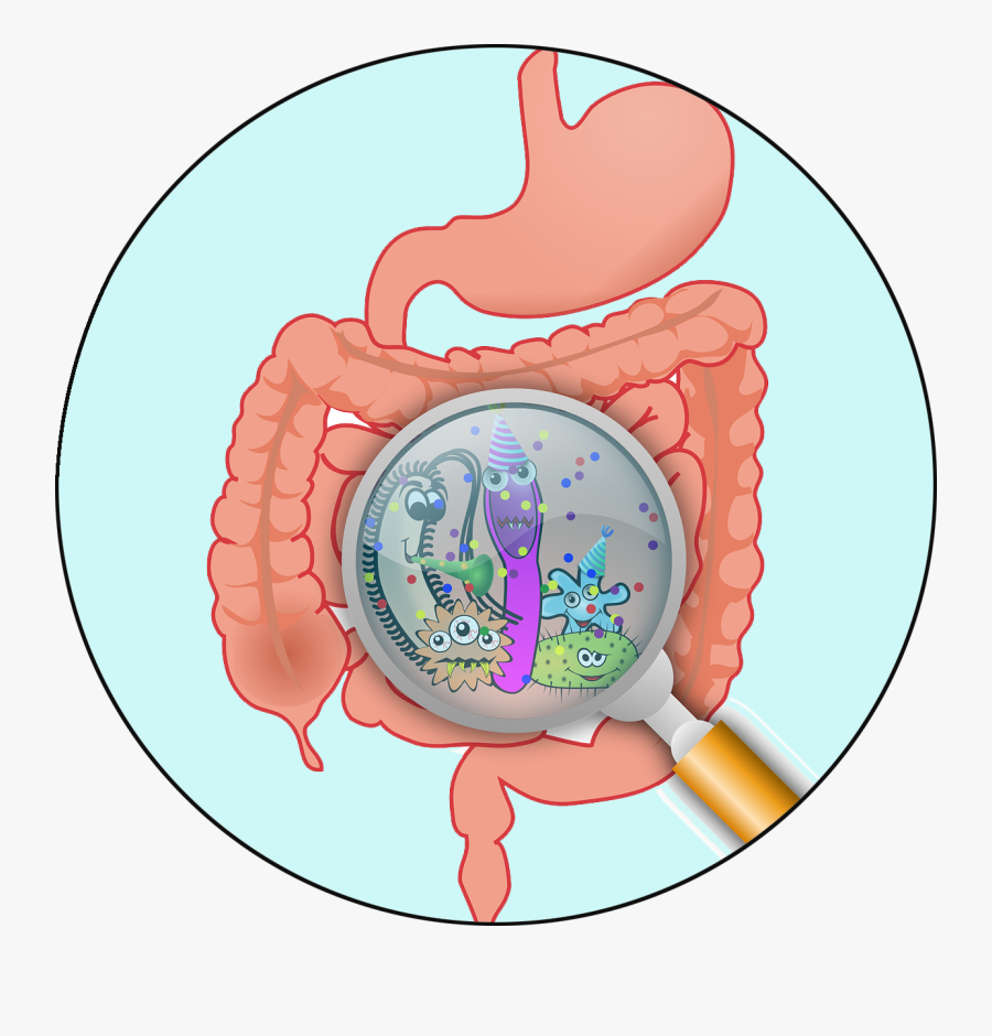 Use Your Internal Housekeeper - Colitis Cartoon , Free Transparent ...