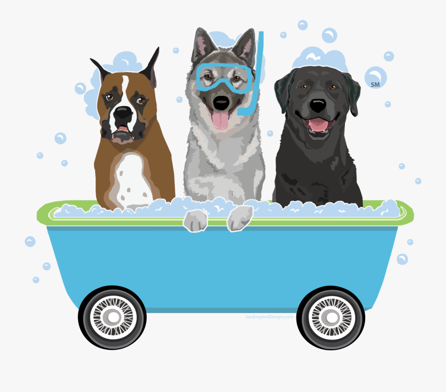 Transparent Pet Icon Png , Free Transparent Clipart - ClipartKey