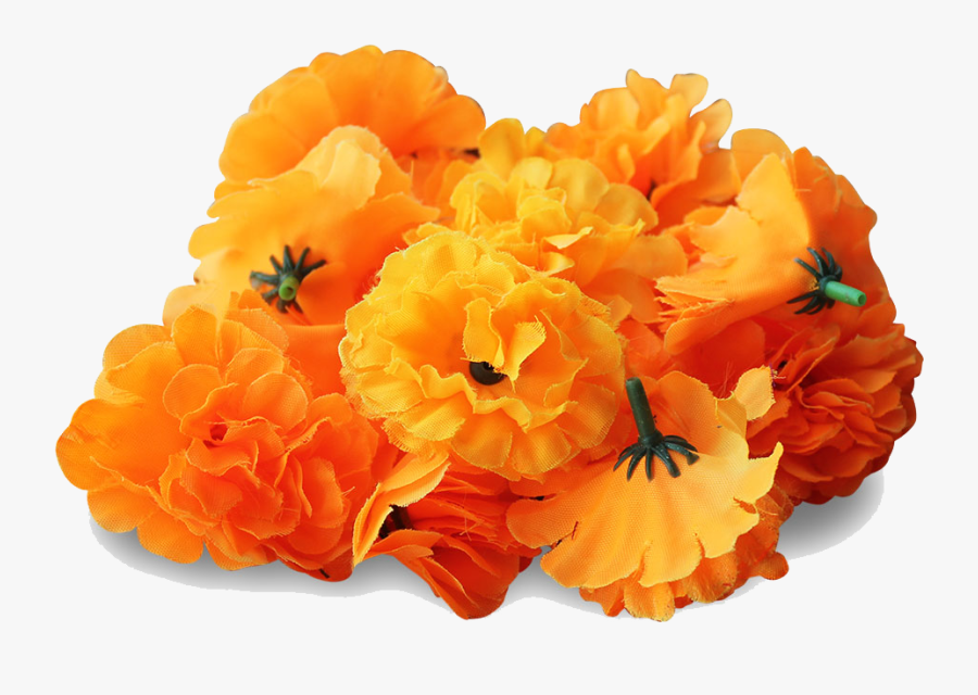 Marigold Png Transparent Image - Marigold Png , Free Transparent ...