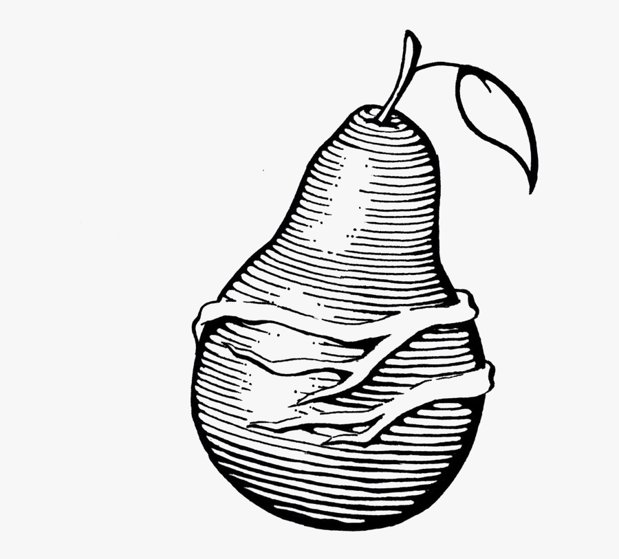 Collection Of Free Pear Drawing Tonal Download On Ui - Illustration ...