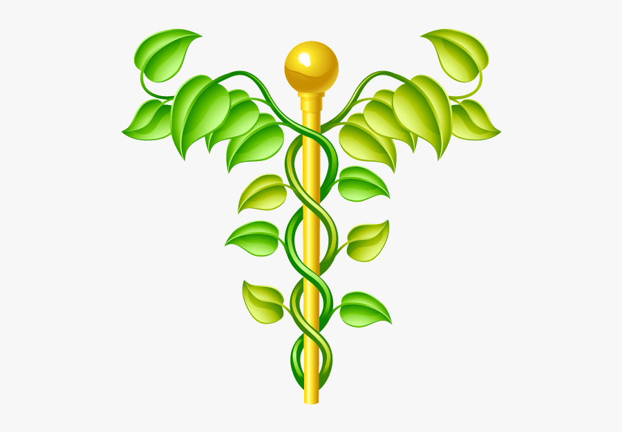 Holistic Medicine Symbols , Free Transparent Clipart - ClipartKey