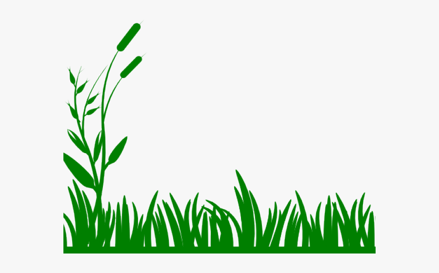 Transparent Swamp Png - Grass Vector Black , Free Transparent Clipart ...