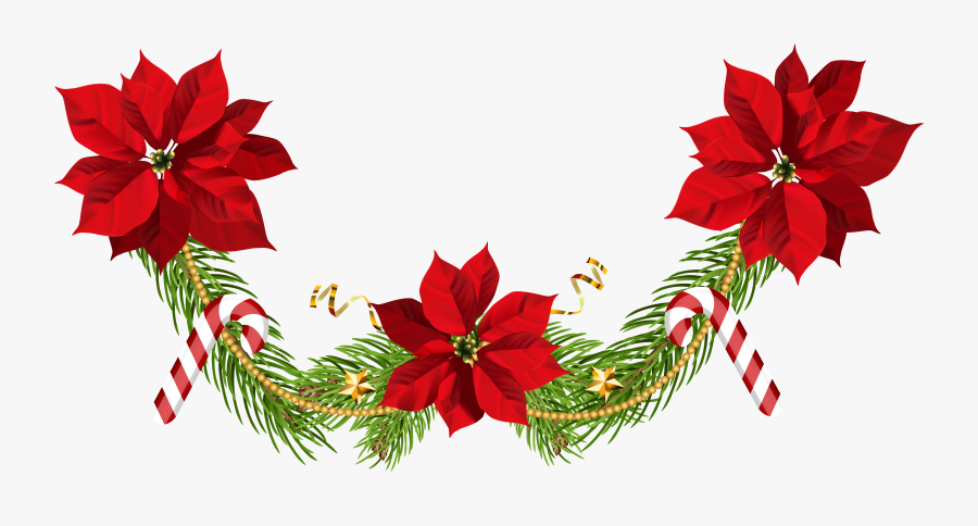Christmas Poinsettias Clip Art - Poinsettia Garland Clip Art , Free ...