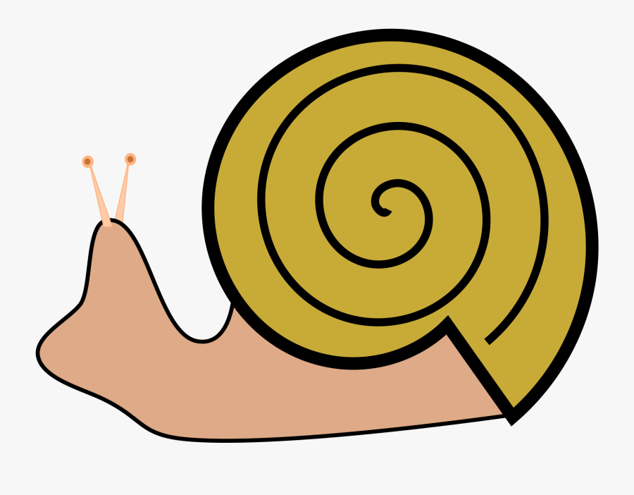 Snail Shell Clipart , Free Transparent Clipart - ClipartKey