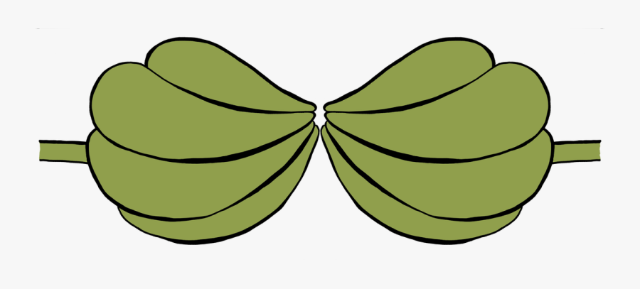 Seashell Bra Clip Art - Mermaid Shell Bra Png , Free Transparent ...