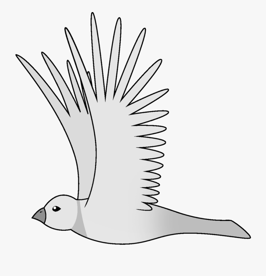 Moving Photos Of Birds Flying Animated - Line Art , Free Transparent ...