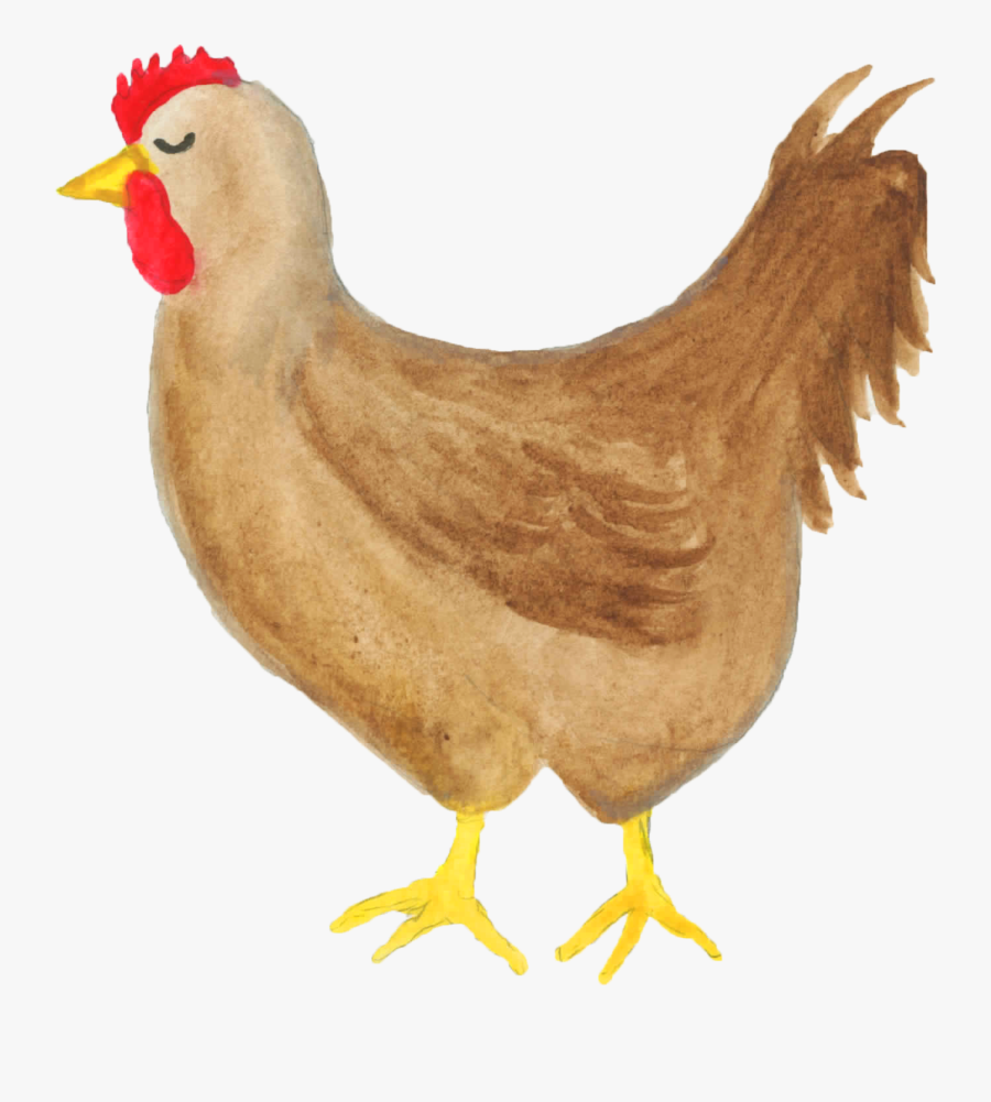 Flightless Bird , Free Transparent Clipart - ClipartKey