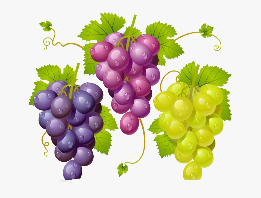 Grapes Graphics , Free Transparent Clipart - ClipartKey