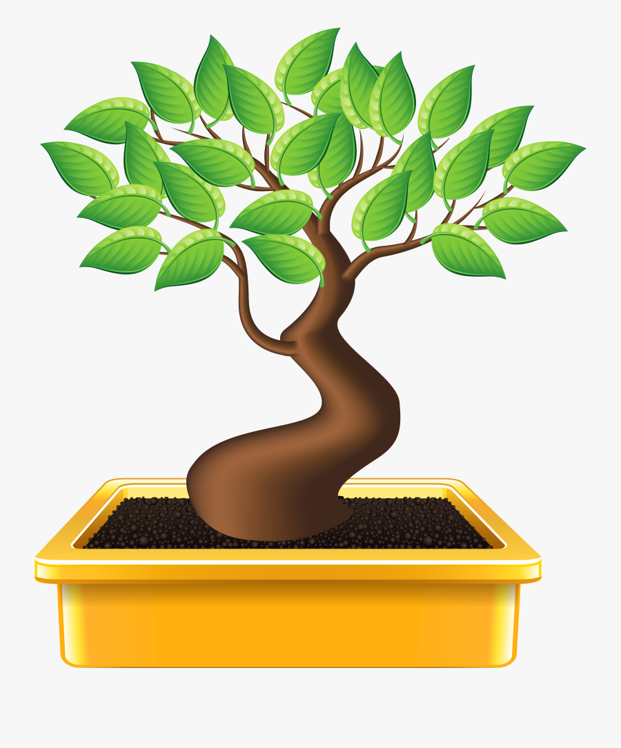 Bonsai Tree Png Clipart , Free Transparent Clipart - ClipartKey