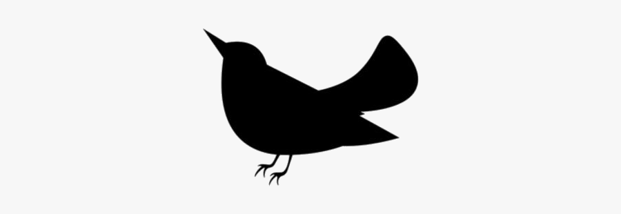Transparent Cute Little Bird Clipart Image - Songbird , Free ...