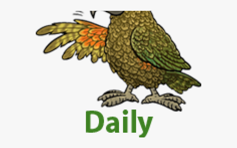 Kea Clip Art , Free Transparent Clipart - ClipartKey