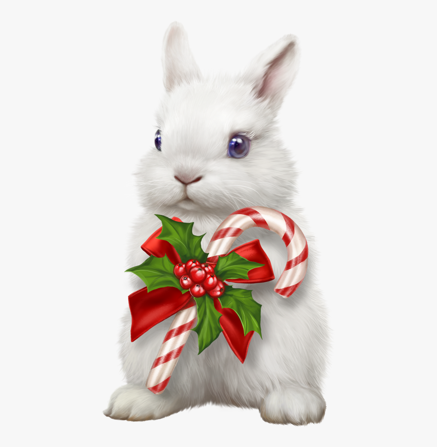 Rabbit , Free Transparent Clipart - ClipartKey