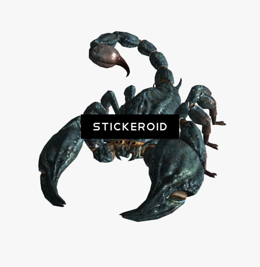 Scorpion Insects Scorpions - Fallout New Vegas Radscorpion , Free ...
