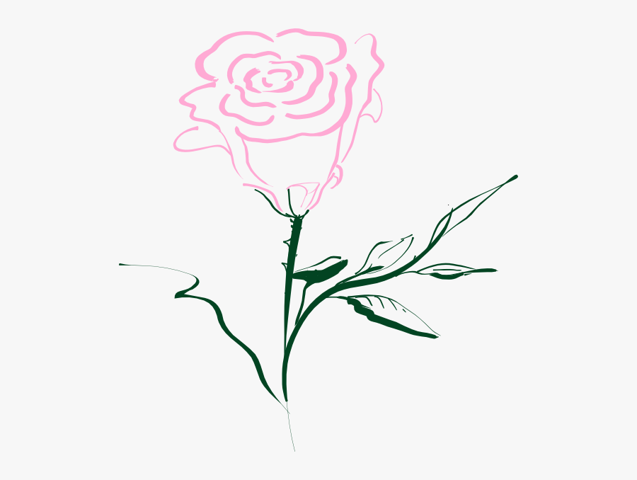 Pink Rose Outline Png , Free Transparent Clipart - ClipartKey