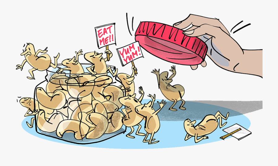 Behavioral Economics Nudges , Free Transparent Clipart - ClipartKey