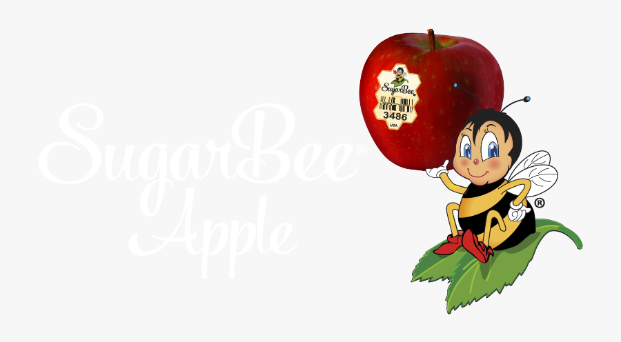 Bees In Apples , Free Transparent Clipart - ClipartKey