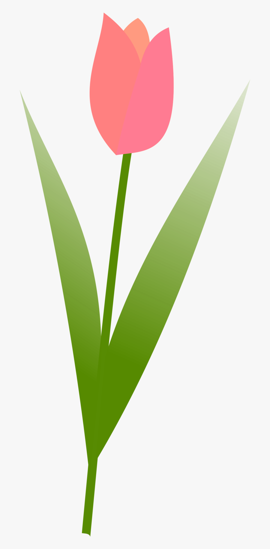 Tulip Clipart April - Tulip Illustration Png , Free Transparent Clipart ...