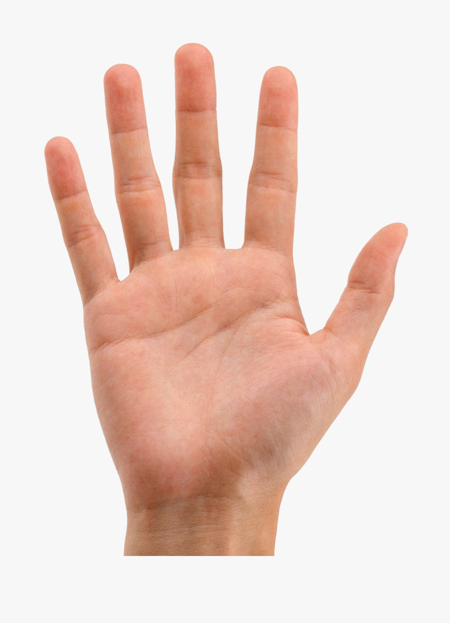 Hands Png Hand Image - Transparent Background Hand Transparent Png ...
