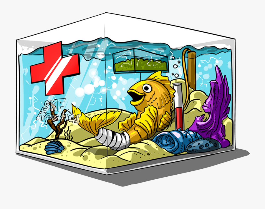 Out Fish Or Any Aquatic Animal Ownership - Fish Hospital , Free ...