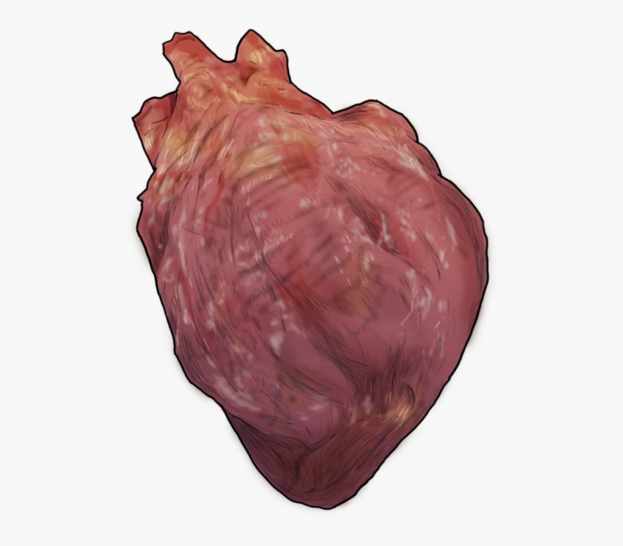 Heart Fowl- - Heart Realistic Png , Free Transparent Clipart - ClipartKey