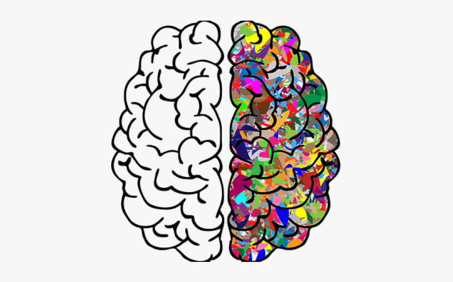 Brain Cliparts Transparent - Left And Right Brain Png , Free ...