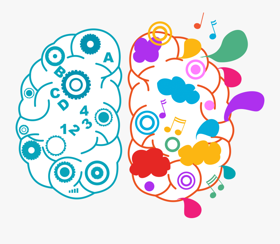 Left Right Brain Png , Free Transparent Clipart - ClipartKey
