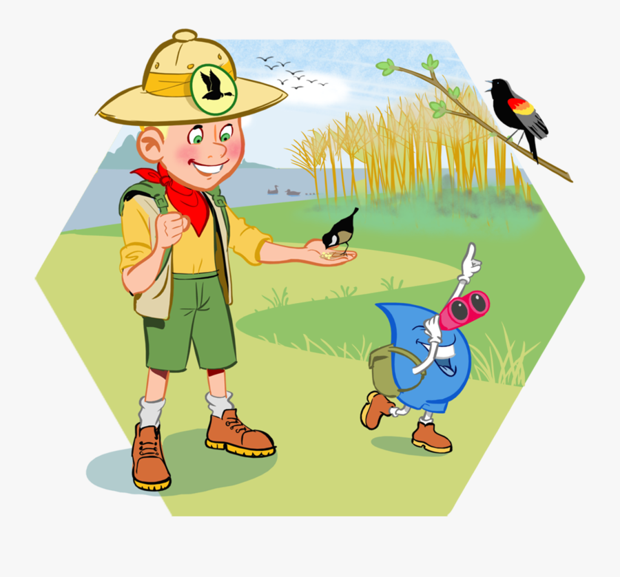 Nature Clipart Naturalistic Birds - Cartoon Observing Nature , Free ...