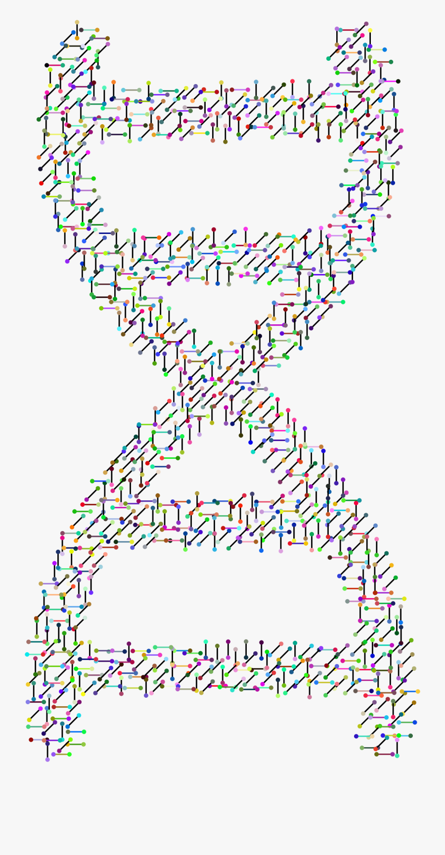 Dna Clipart Dna Molecule - Clip Art Molecular Biology , Free ...