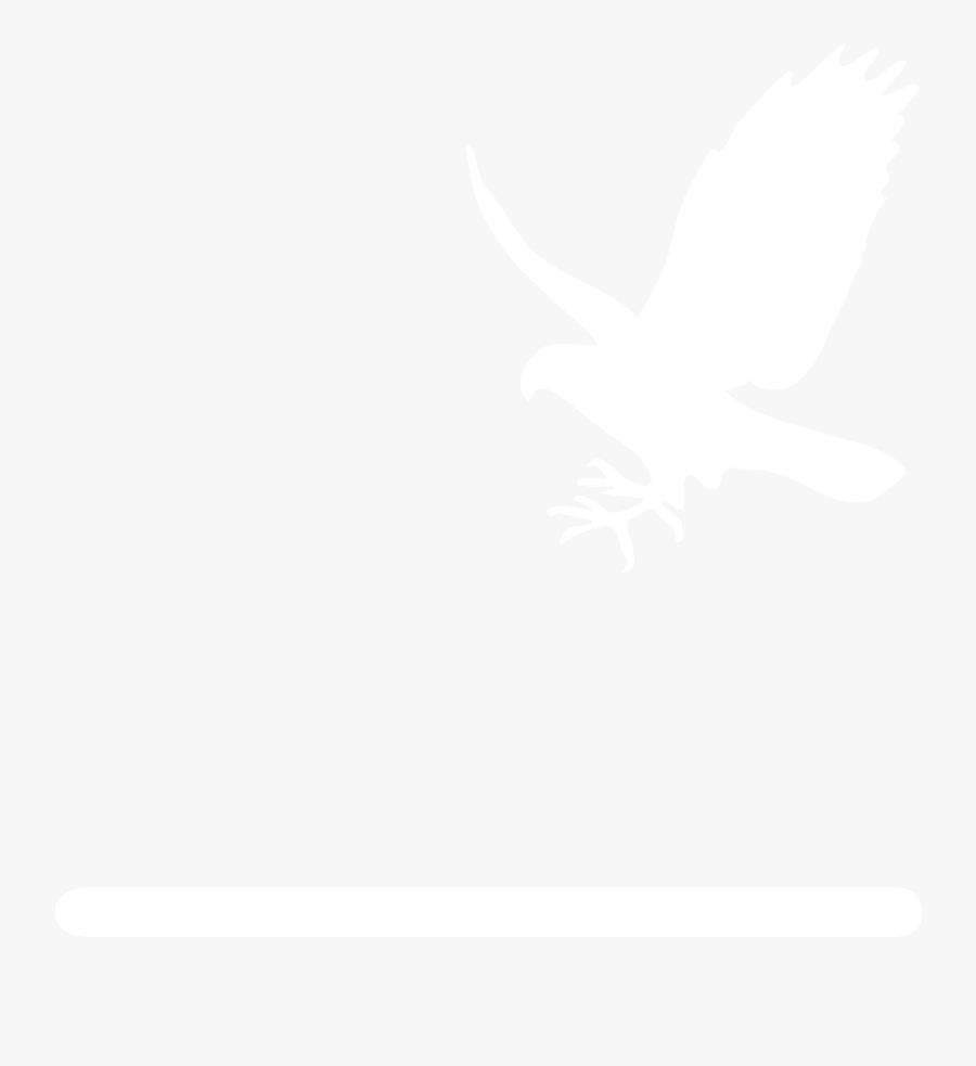 Flying Falcon Outline Png , Free Transparent Clipart - ClipartKey