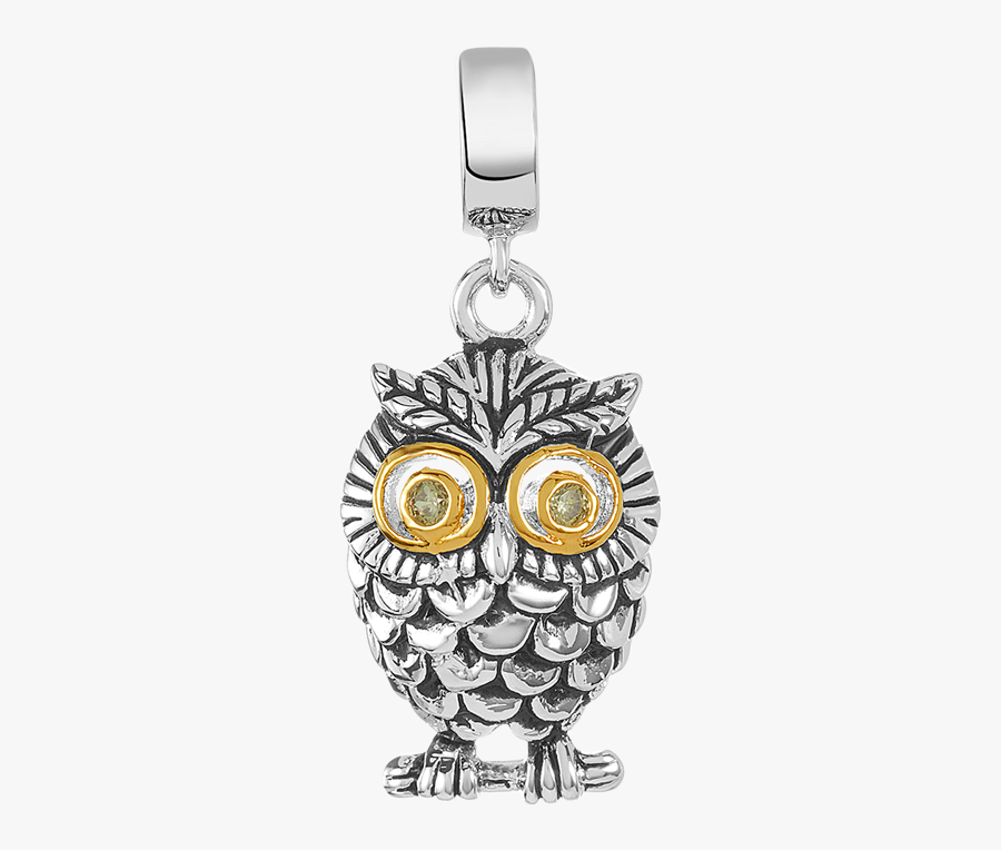 Owl Charm For Use On Dbw Interchangeable Charm Bracelets - Locket ...