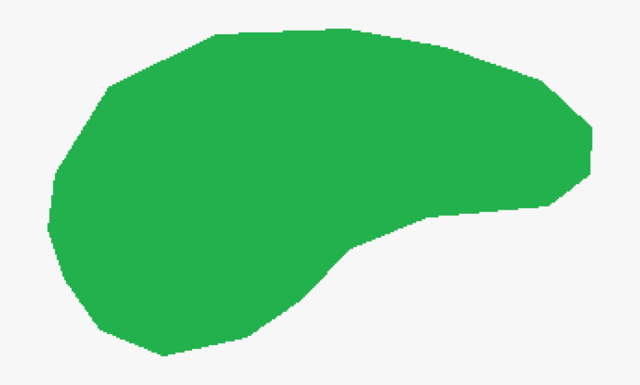 Amoeba - Png Amoeba , Free Transparent Clipart - ClipartKey