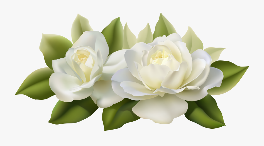 Flower Rose White Clip Art - White Rose Flower Png , Free Transparent ...