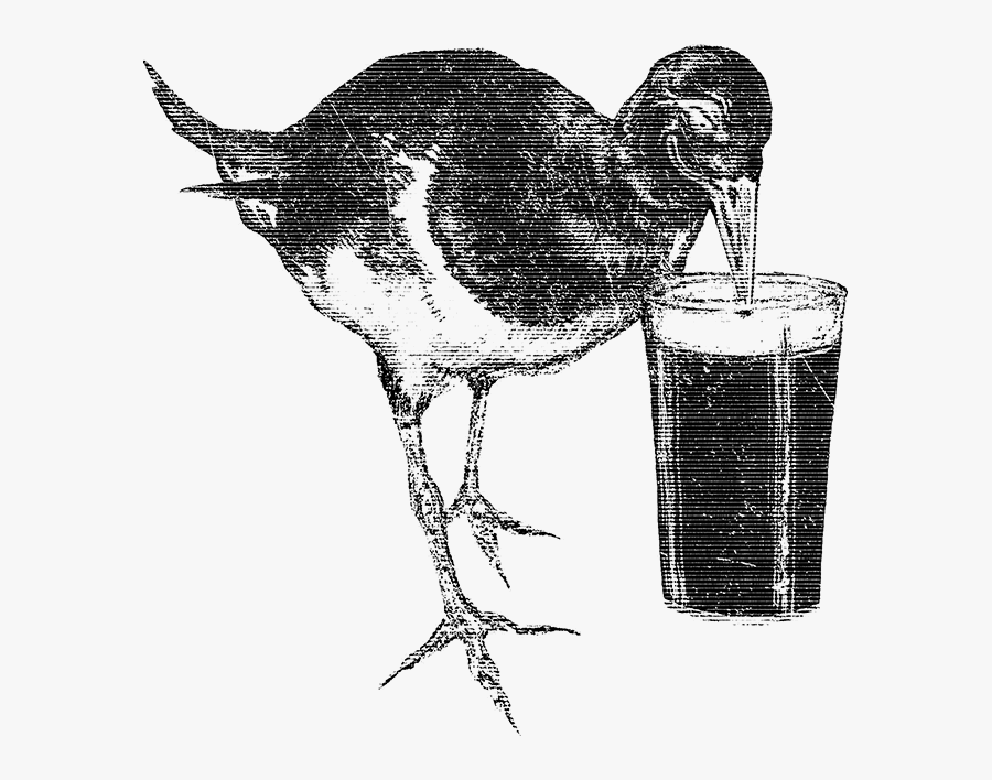 Flightless Bird , Free Transparent Clipart - ClipartKey