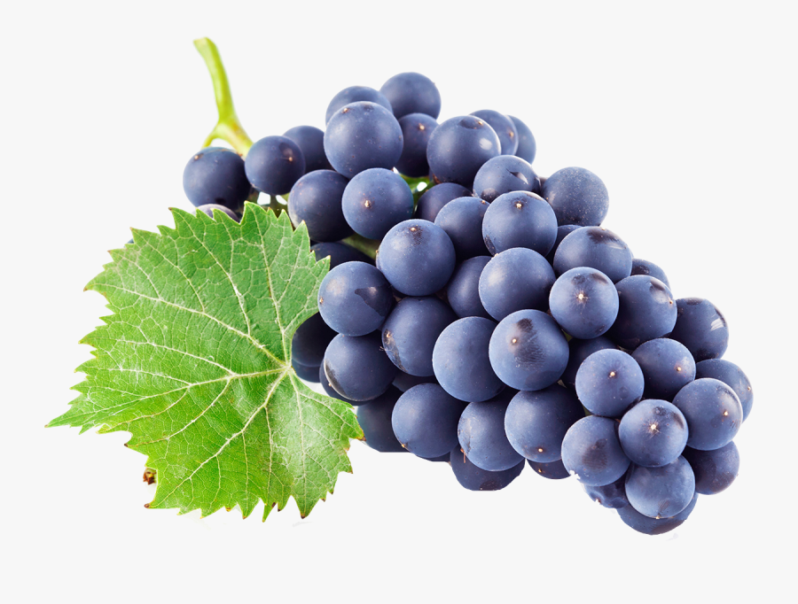 Grape Png Image & Grape Clip Art - Grapes Transparent Background , Free ...