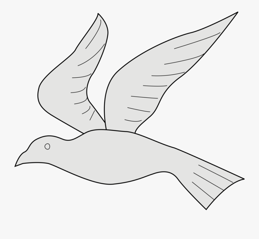 Line Art,arctic Tern,kite - Line Art , Free Transparent Clipart ...
