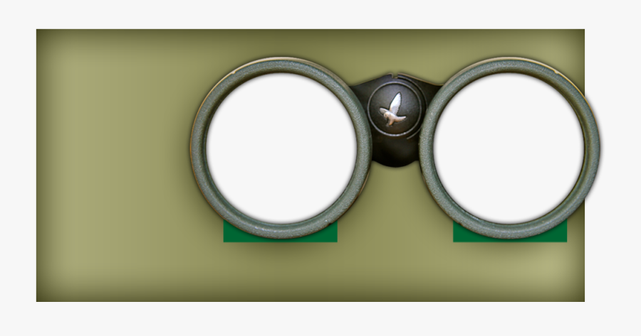 Picture Frame , Free Transparent Clipart - ClipartKey