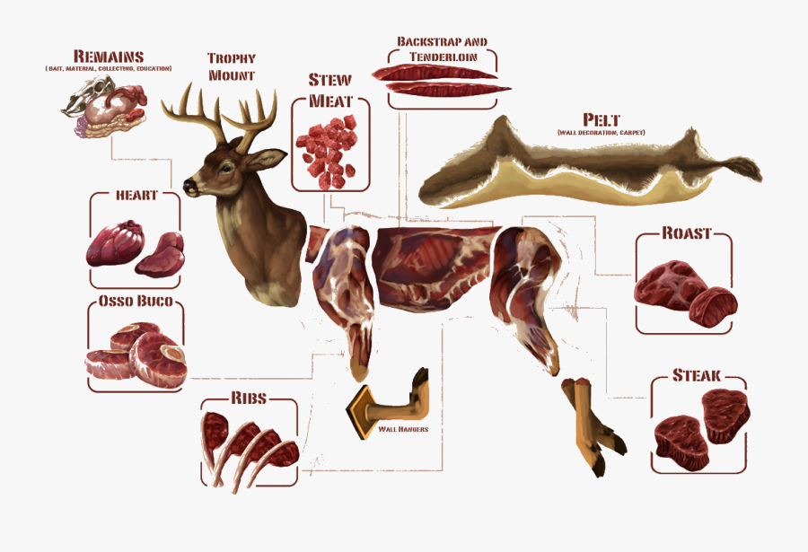 Deer Processing , Free Transparent Clipart - ClipartKey